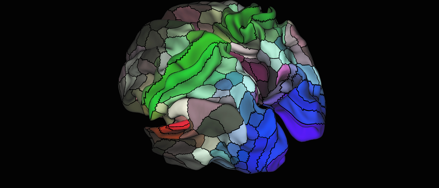 Most Accurate Map of the Brain To Date Reveals 97 New Regions
