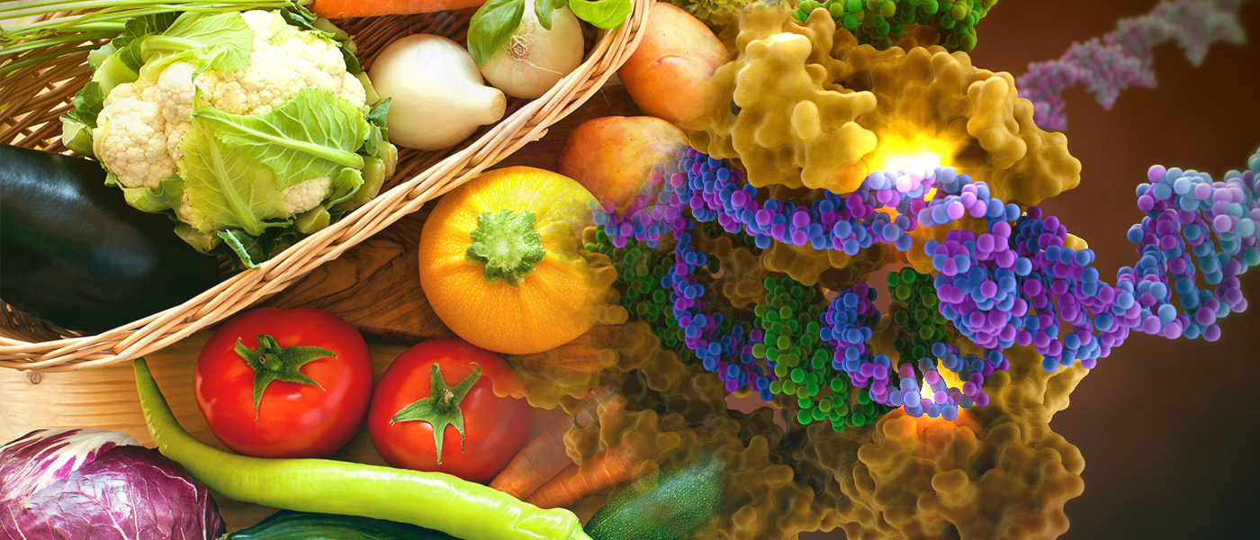 A Taste of Crisp: First Meal Created With CRISPR Gene Editing