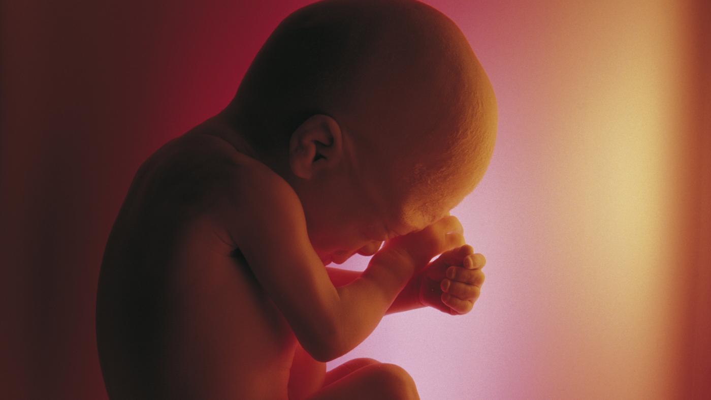 U.S. Scientists Have Backed the Genetic Modification of Human Embryos