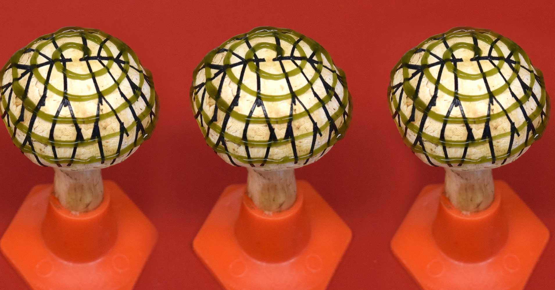 We Can Now Generate Electricity From "Bionic Mushrooms"