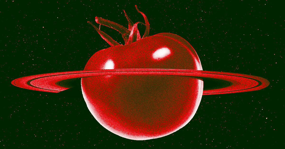 Astronauts Prepare to Grow Juicy Dwarf Tomatoes in Space