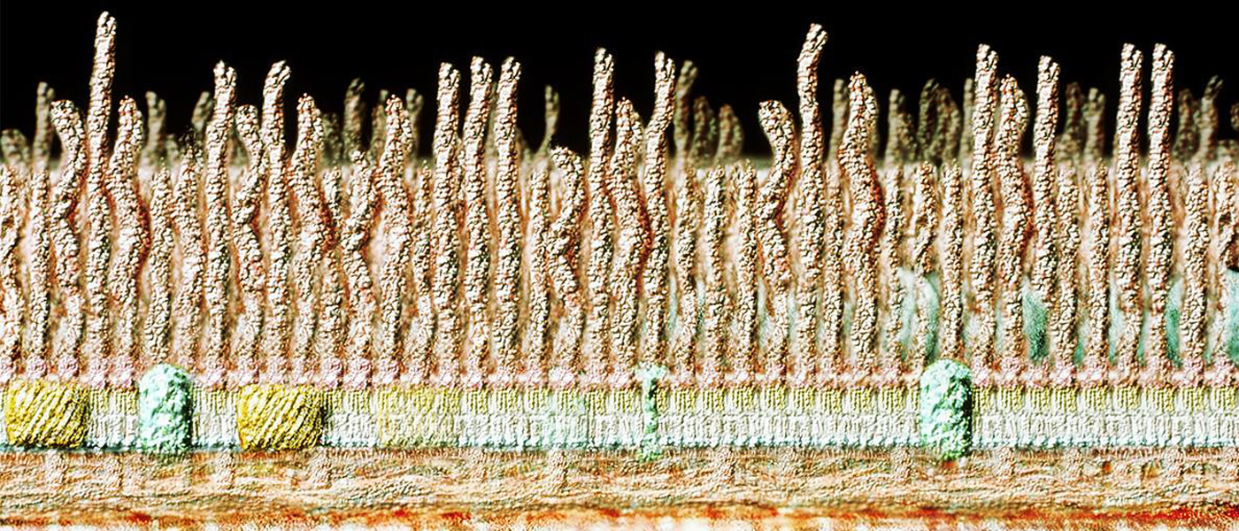 "Dormant" Bacteria in Blood Was Just Linked to Several Diseases