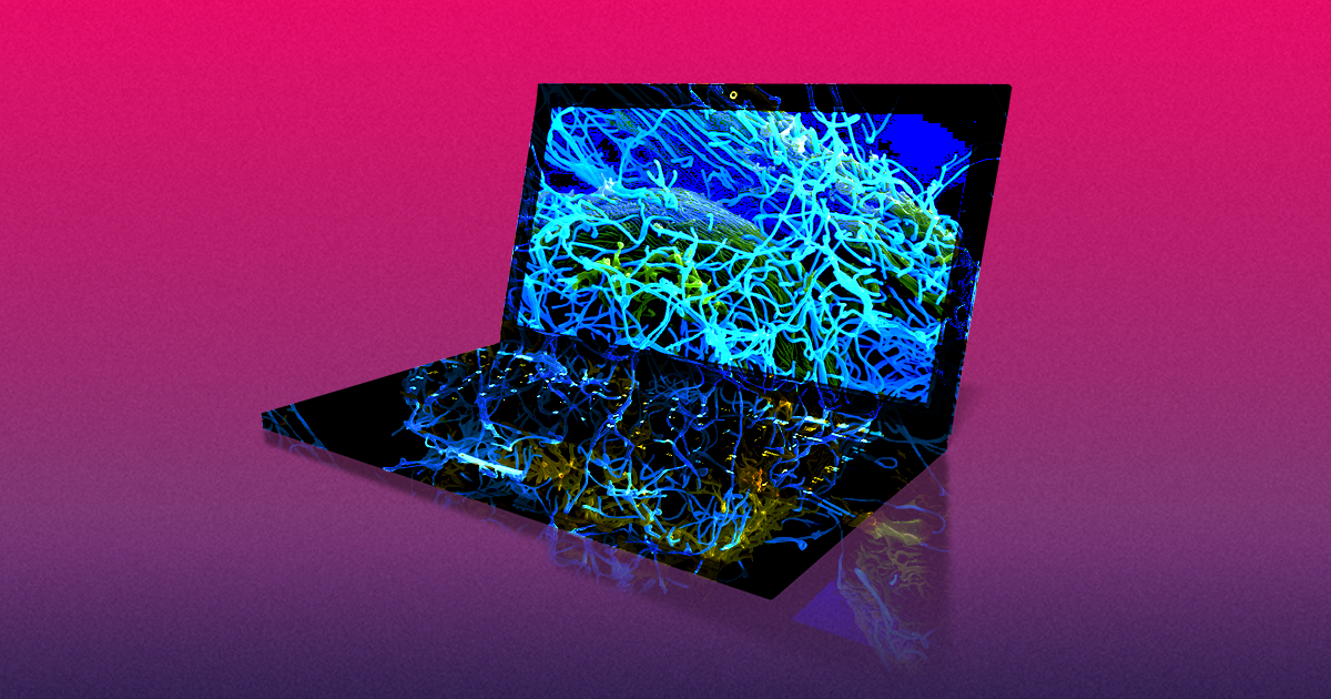 This Dude Is Selling a Virus-Infested Laptop For $1.2 Million