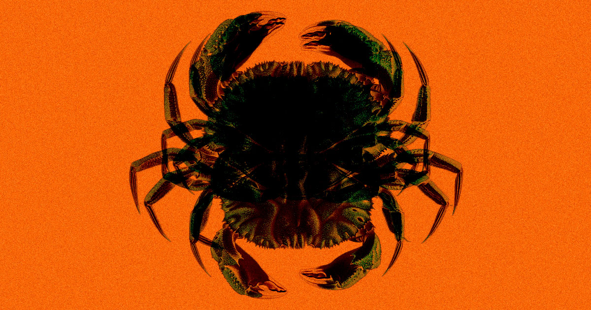 Deepwater Horizon Oil Spill Created Mutant Sea Creatures | Futurism