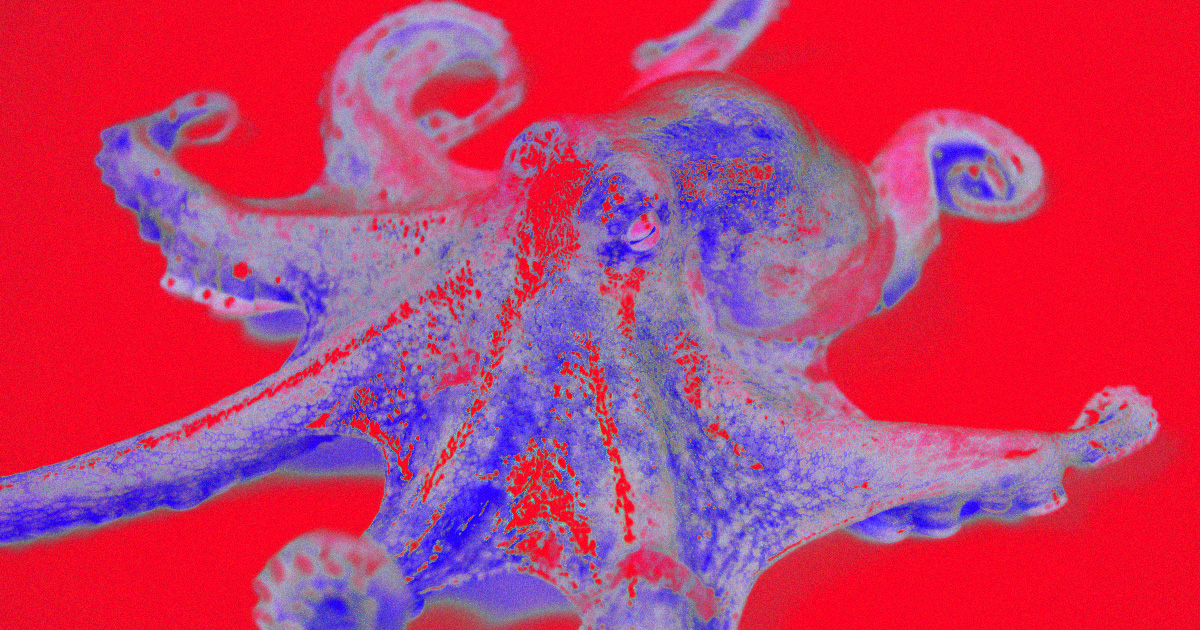 Scientists Say That "Spiteful" Octopuses Punch Fish When They're Angry