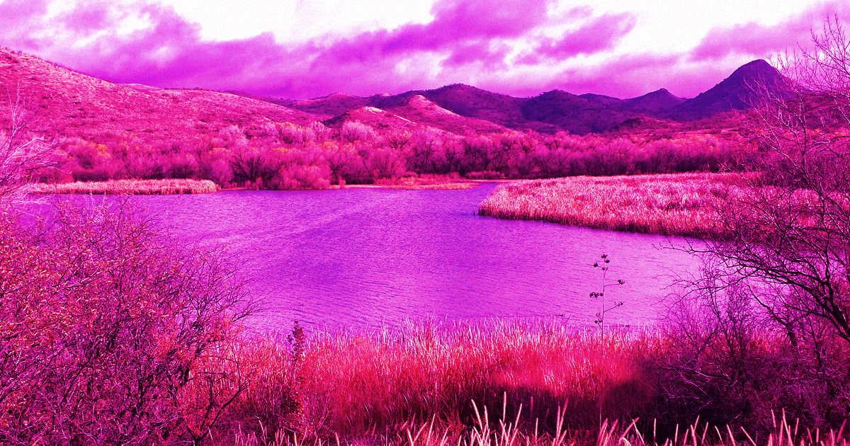 Pollution Runoff Causes Entire Lake to Turn Bright Pink