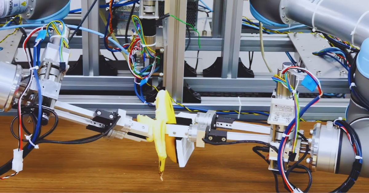 Incredible! This Robot Is So Dexterous That It Can Perfectly Peel a ...