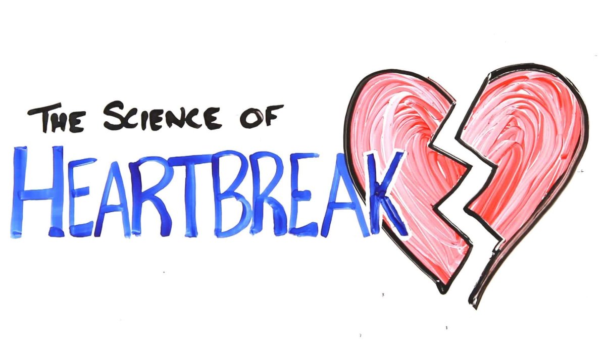 Here's What Happens When a Heart Breaks (video)