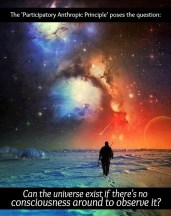 John Wheeler’s Participatory Universe