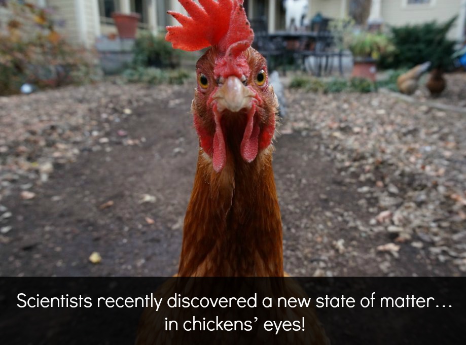 Scientists Discover New, Strange State of Matter in Chickens' Eyes:
