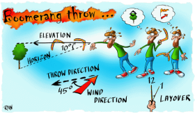 Science Explained: Why Do Boomerangs Come Back?