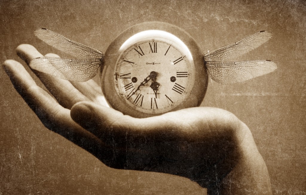 The Physics of Stopping Time: What Would a World Without Time be Like?