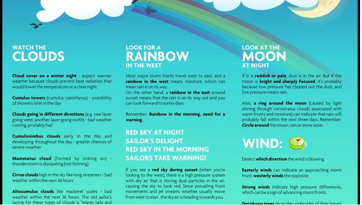 How To Predict The Weather Using Only Nature (infographic)