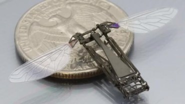 Meet The World's Smallest Robot, It's the Size of Fly and Capable of Flight