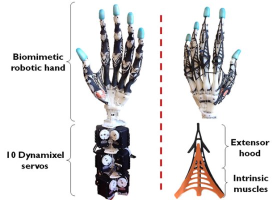 This Could be the Most Life-Like Robotic Hand Ever Developed