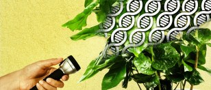 Tricorder Tech: Oxford Scientists Made A Pocket-Sized, Portable DNA ...