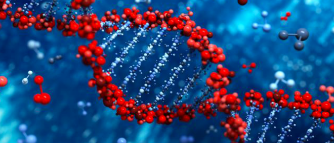 Using DNA, New Software Can Verify Identity In Minutes