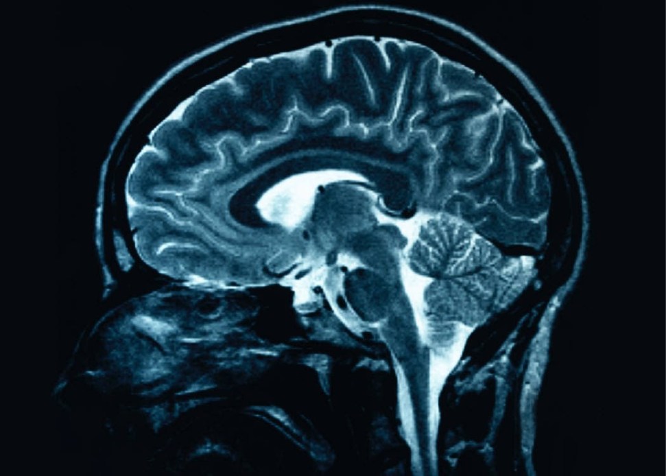 Researcher Claims To Have Uncovered Evidence of a "Sixth Sense" In Humans