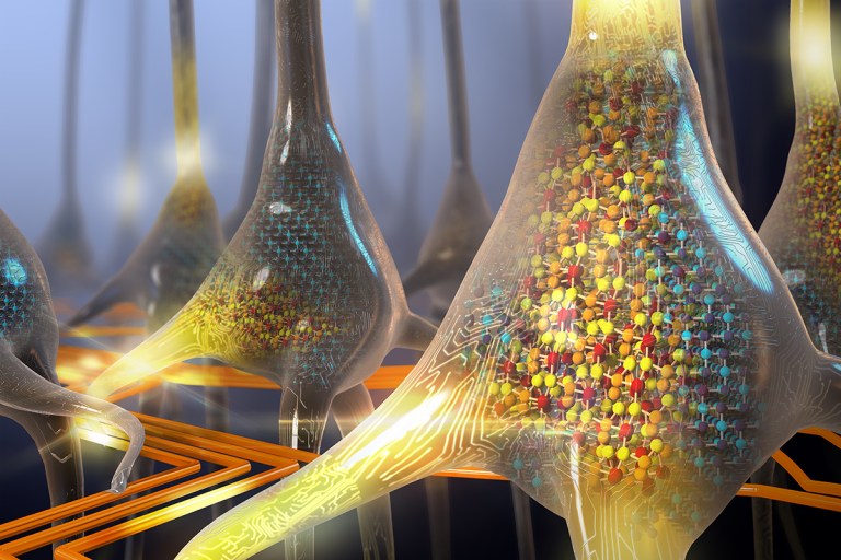 This Startup's Computer Chips Are Powered by Human Neurons