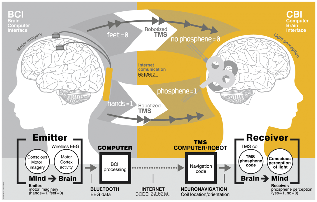 Becoming Borg: What Is a Hive Mind in Science and Could Humanity Get There?