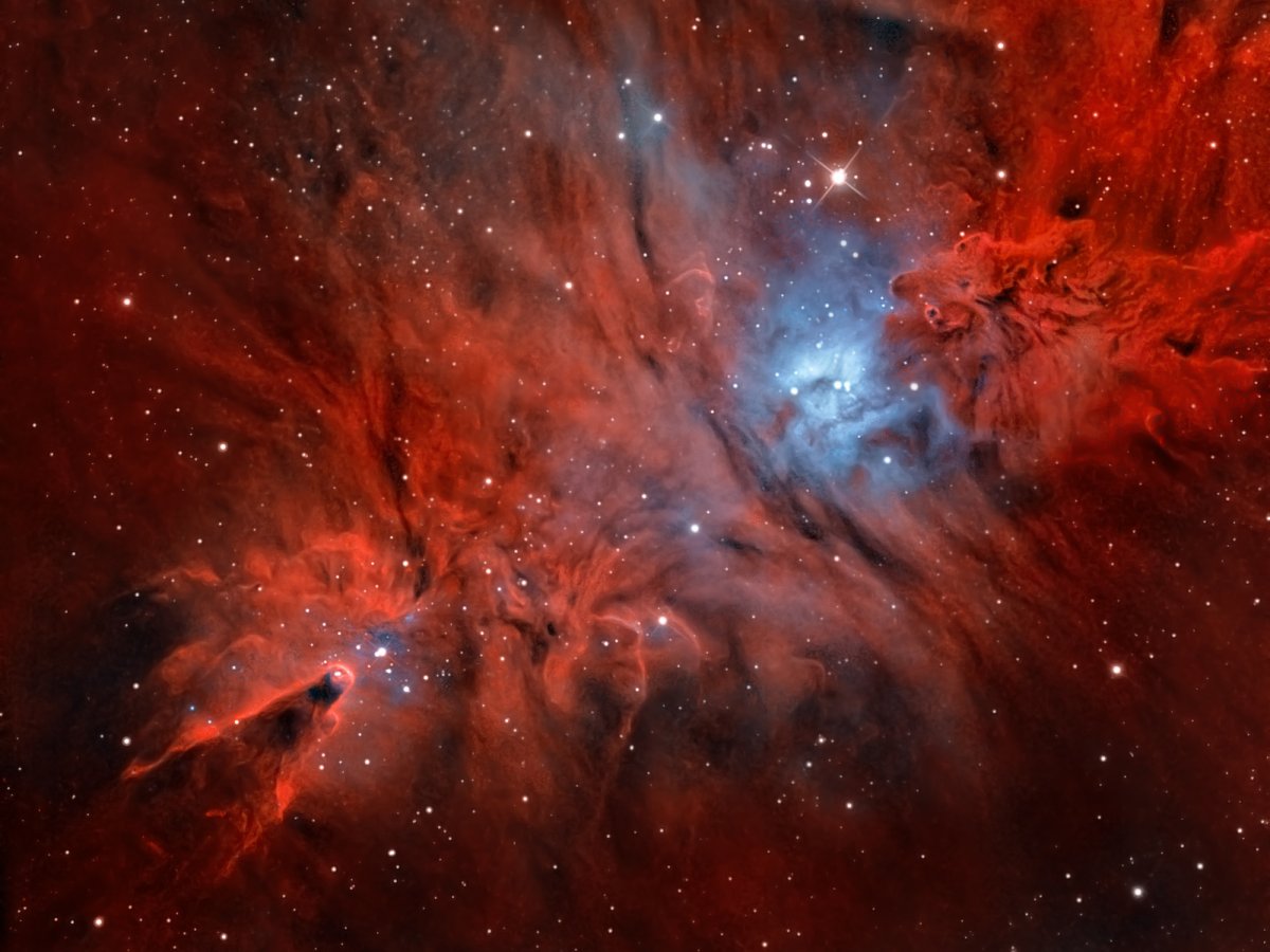 Everything You Wanted to Know About the Cosmos