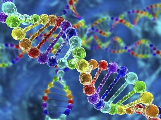 Using DNA, New Software Can Verify Identity In Minutes