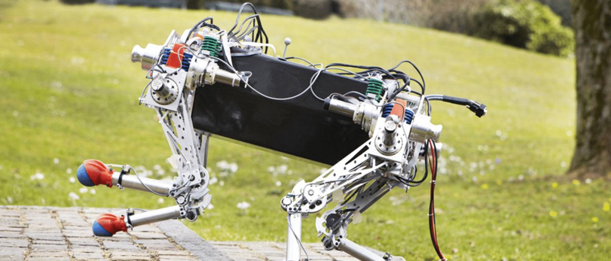 More Than Human: Scientist is Building Animal-Like Machines to Save Lives