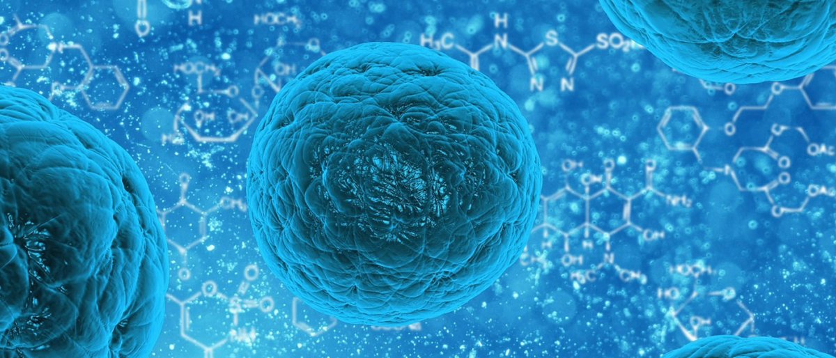 Scientists Move Closer to Creating the First "Human/Pig Chimera"