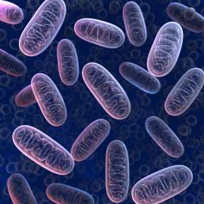 Scientists May Have Uncovered the Key to the Origin of Complex Life
