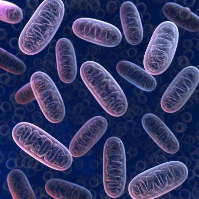 Scientists May Have Uncovered the Key to the Origin of Complex Life
