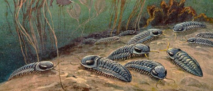 Complex Life May Have Emerged A Billion Years Earlier Than We Thought