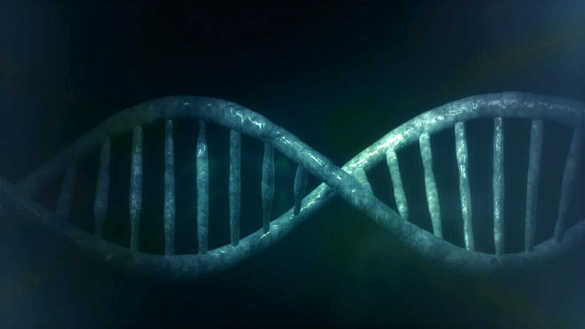 Humans Can Now "Print" Genetic Code and Engineer Life