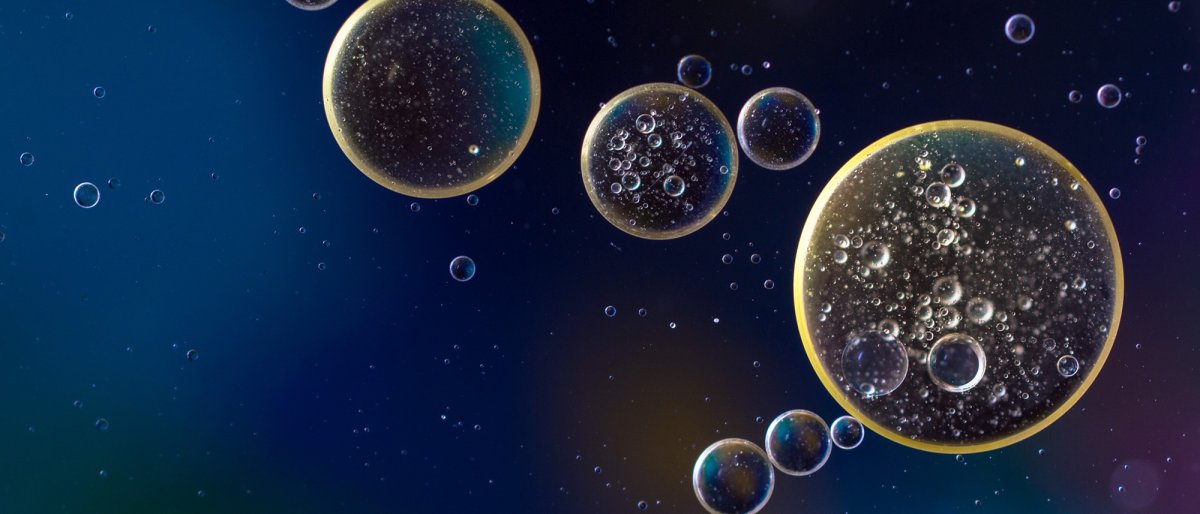 In Just Ten Years, Renewable Energy Will Be Cheaper Than Fossil Fuels