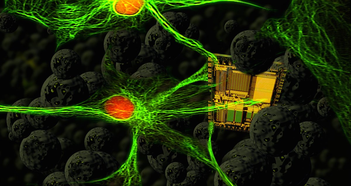Researchers Just Created a Revolutionary "Brain on a Chip"