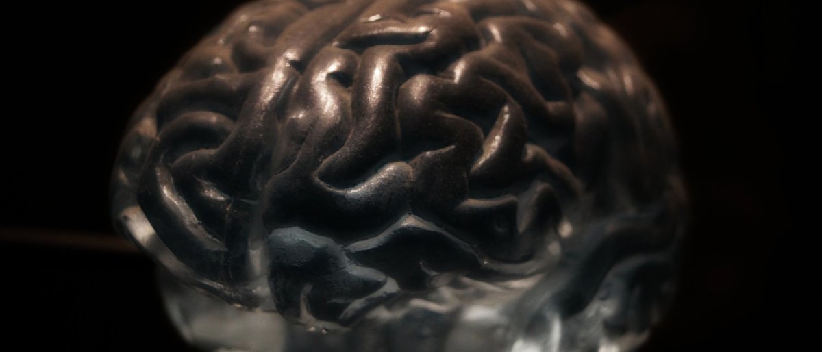 You Have the Power to Physically Reshape Your Brain