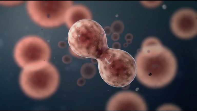 How Close Are We to Successfully Cloning the First Human?