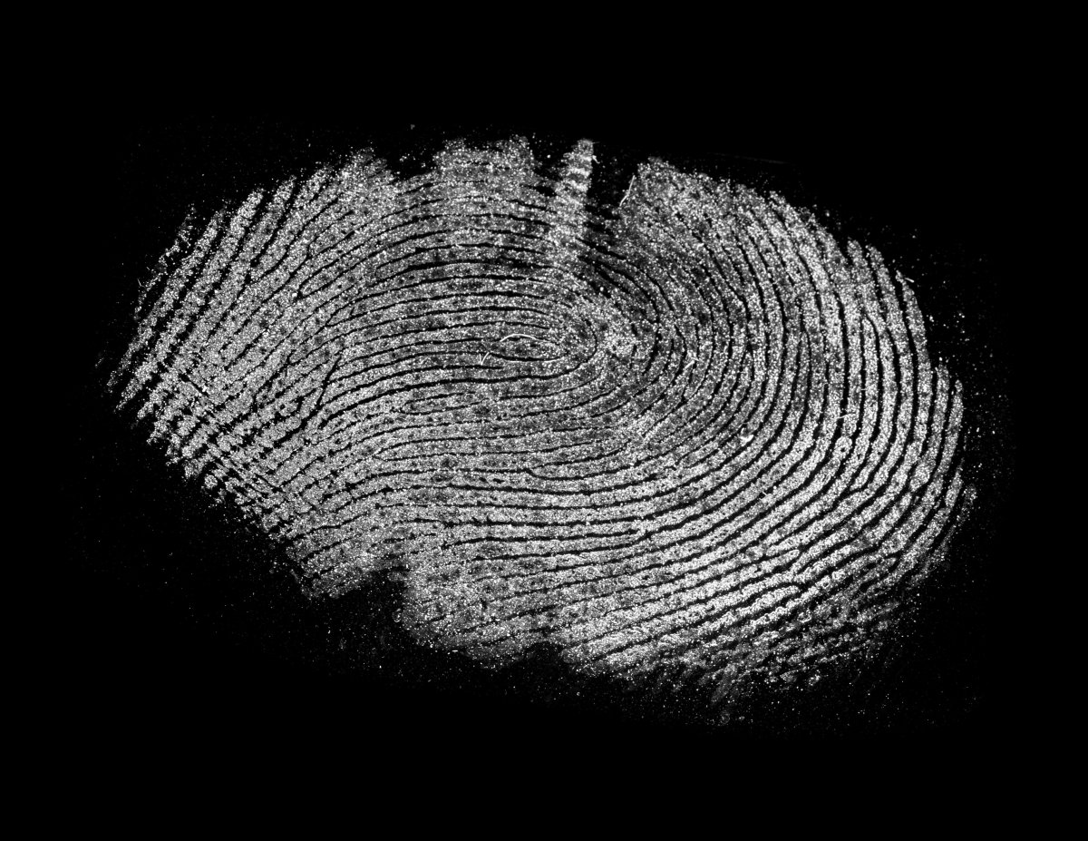 Synthetic, Microscopic Fingerprints Turn Tiny Plastic Particles Into ...