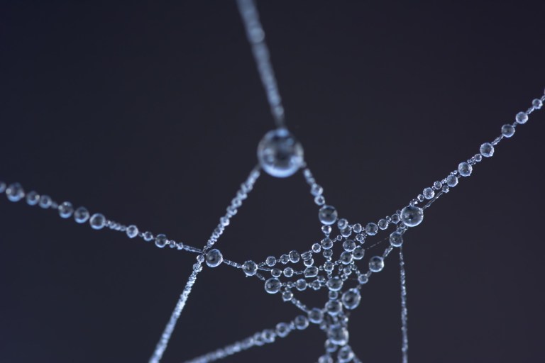 Researchers Create Real-Life "Spider-Man" Web-Slinging Tech