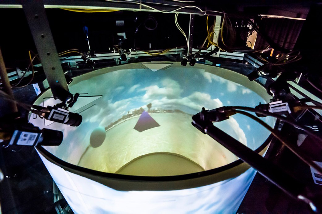 Scientists Have Created a “Holodeck” for Flies, Fish, and Mice