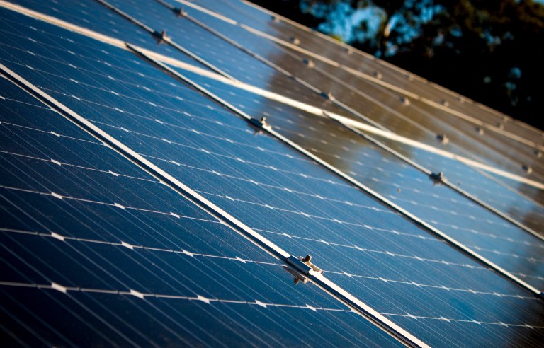 Genetically Modified Algae Could Be Key to Tomorrow's Bio Solar Cells
