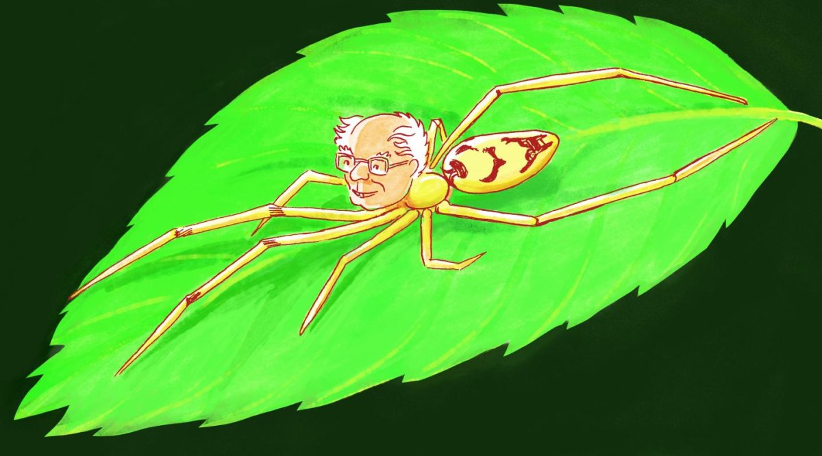 These Fifteen New Spiders Were Named for Celebrity Activists, Including ...