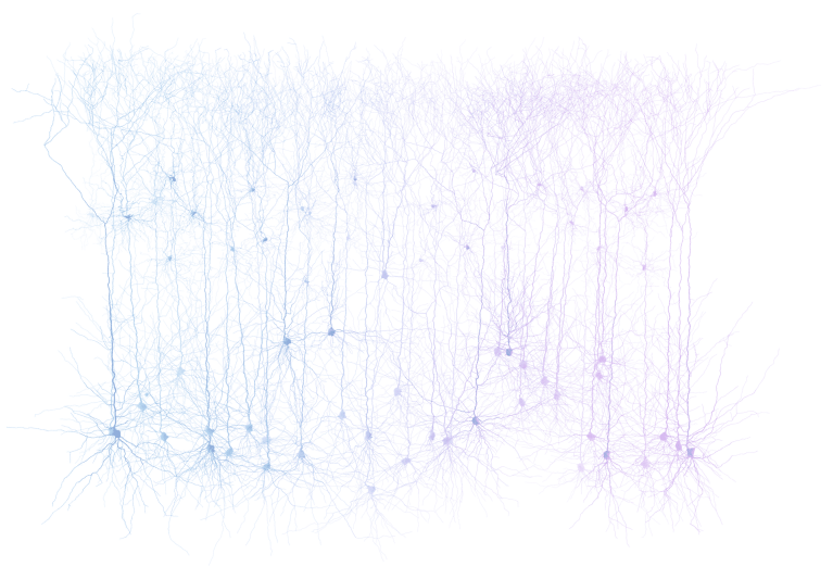 Weird New Computer Runs AI on Captive Human Brain Cells