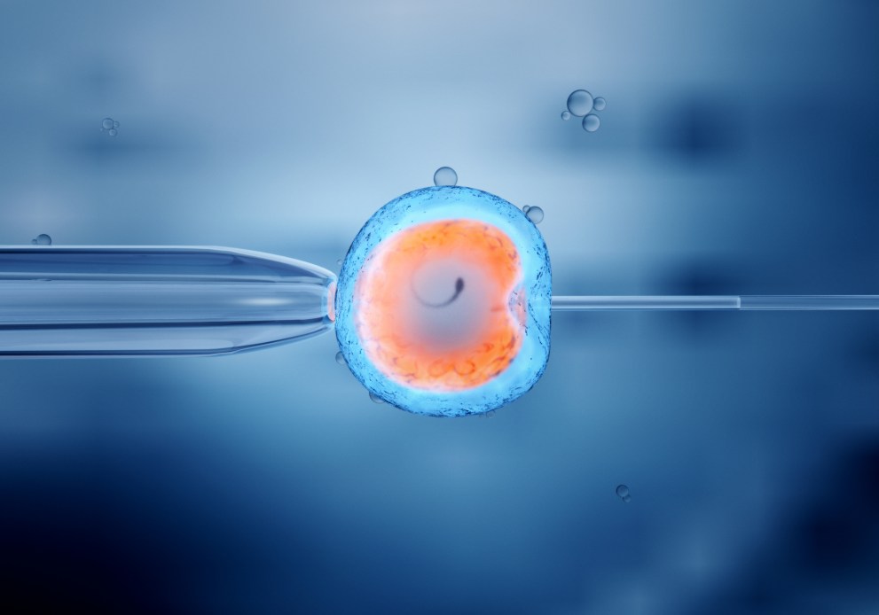 Scientists Just Used Gene Editing to Remove a Fatal Blood Disorder From ...