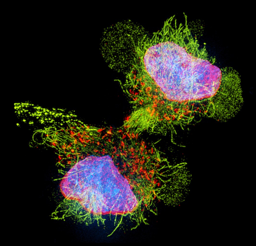 New Research May Explain the Origin of Complex Life on Earth