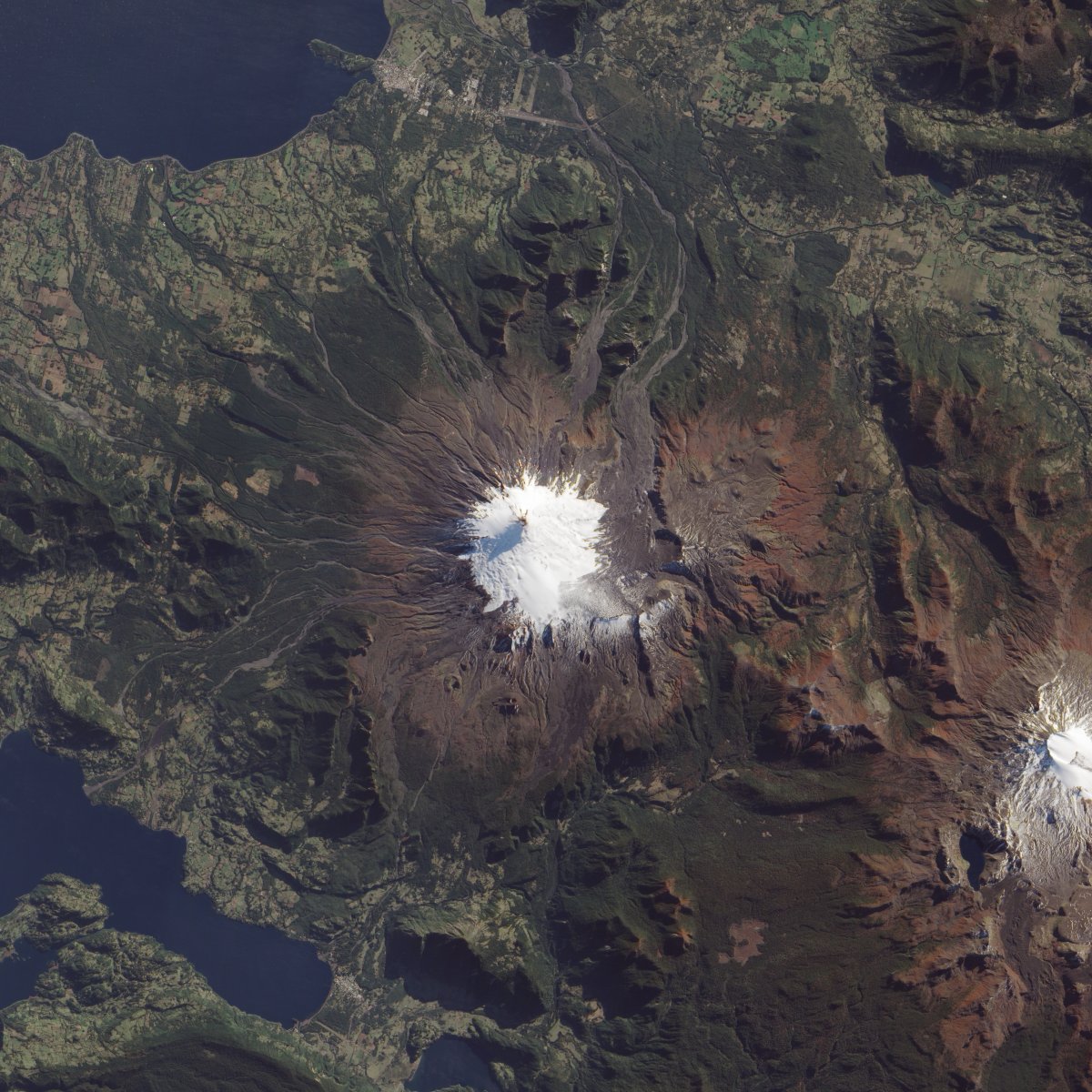 Scientists May Have Discovered the 'Trigger' for Complex Life on Earth