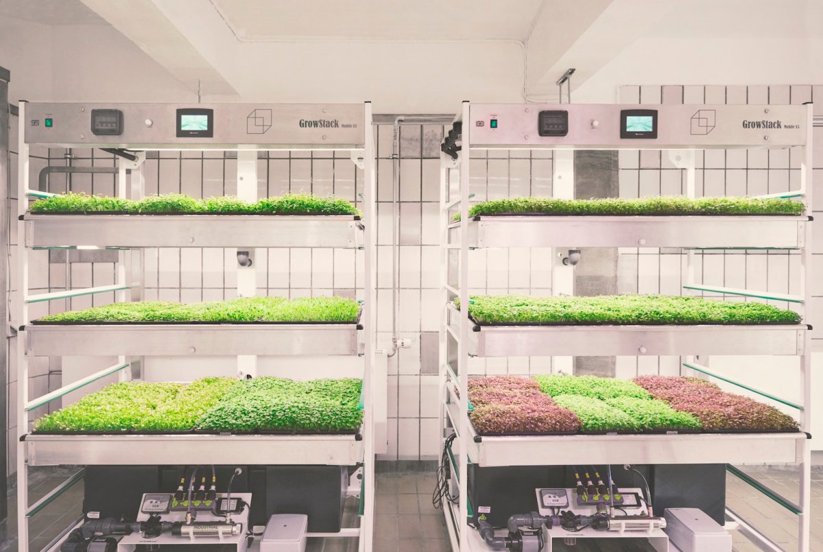 This Innovative Farm Grows Food Three Times Faster Than a Regular Garden