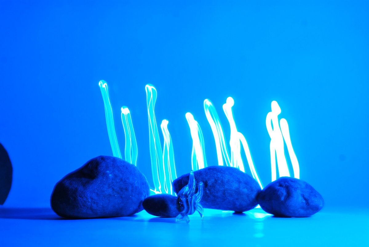 Magnetically-Controlled Organic Microbots Could Change Medicine in the ...