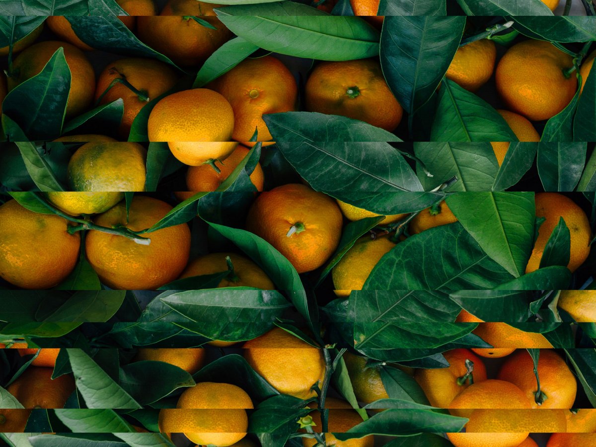 Is Organic Really Better? 4 Food Myths Debunked By Science