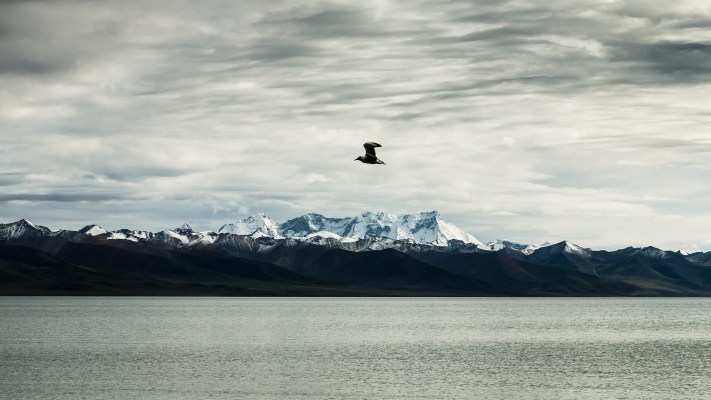 How Earth's Most Extreme Environs Are Key to Humanity's Future