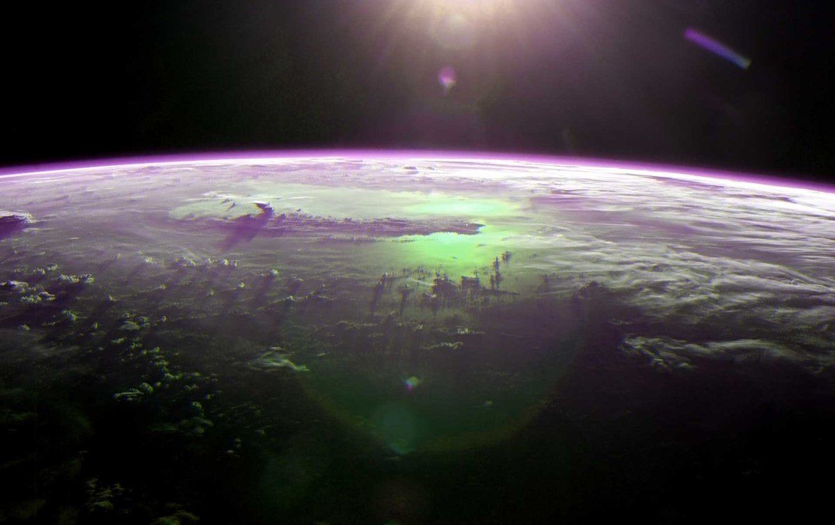 To Save the Earth, We Should Just Leave It Alone